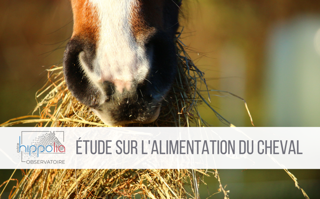 Etude sur l’alimentation des chevaux - Hippolia Lab